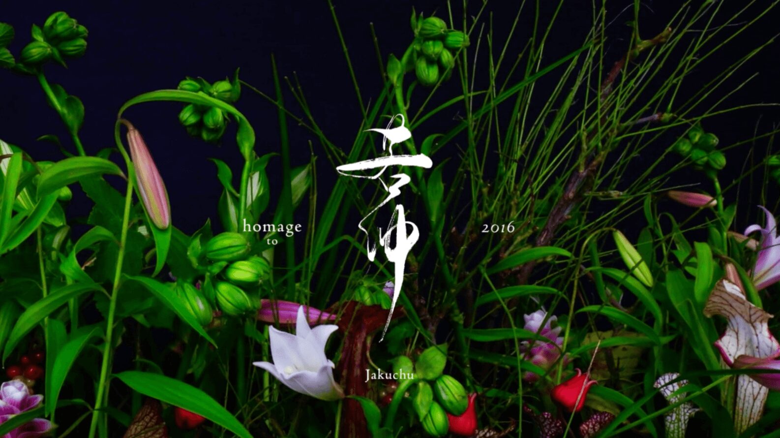 “homage to Jakuchu” | 株式会社SECAI