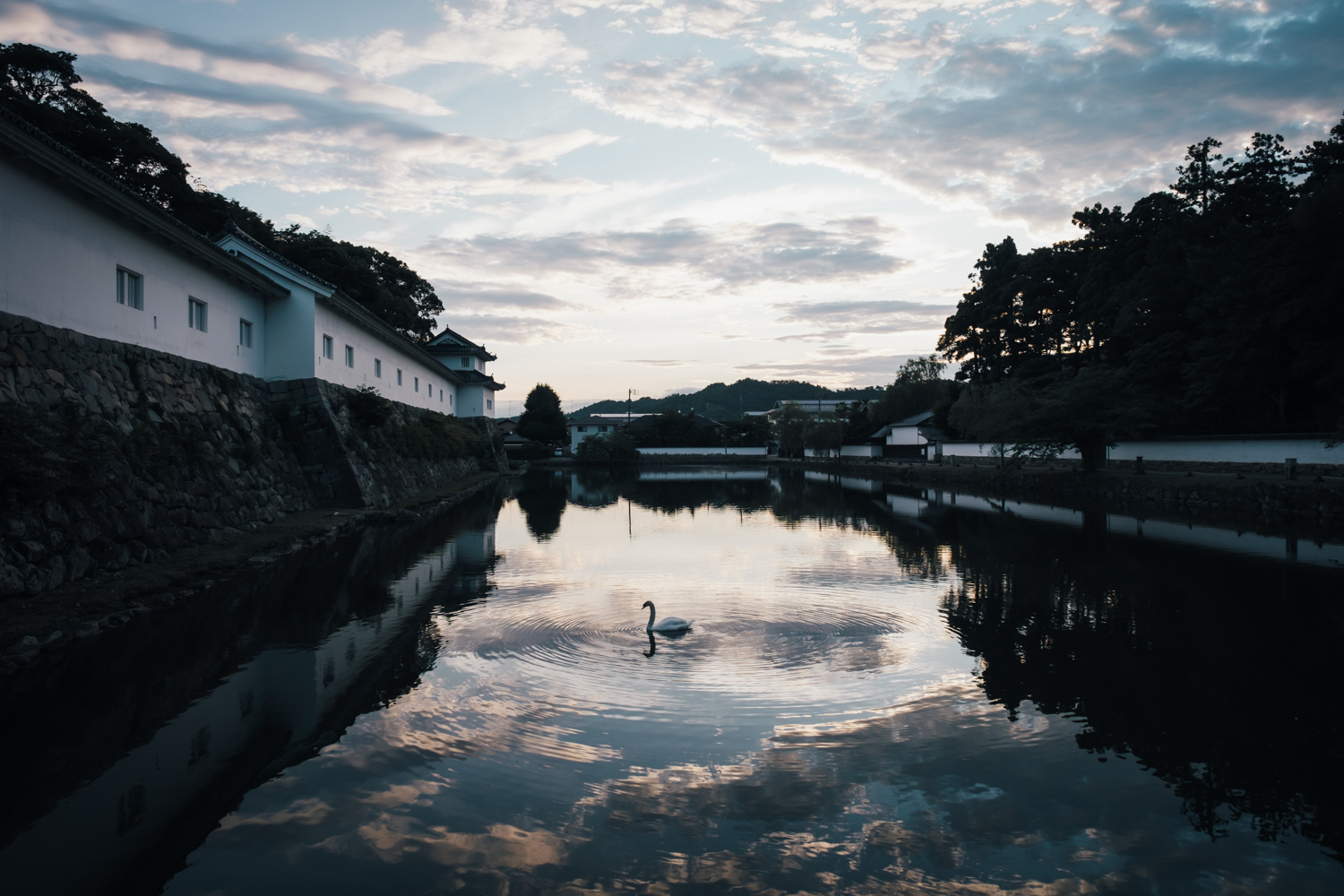 LAYERED OMI | 株式会社SECAI